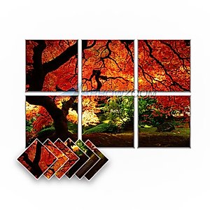 Arrowzoom 6 Felt Wall Art Acoustic Panel Display Stylish Decorative Acoustical Tiles Noise Reduction Recording Studio Room Home Treatment Strong Adhesive DIY Nature Design C 23.6 x 35.4 in AZ1228