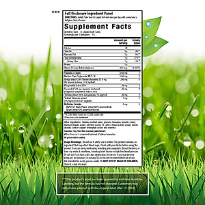 Irwin Naturals Double-Potency Ginkgo Biloba 240mg Extra Strength Brain Health Supplement - Enhance Memory, Mental Focus, Alertness, Concentration & Herbal Energy Booster - 60 Liquid Softgels