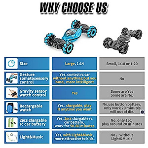 Remote Control Car, 2.4G 4WD Gesture RC Car, All Terrains Double Sides Rotating Hand Controlled RC Cars, Hand Gesture Remote Control Car with 2 Batteries, RC Cars for Boys and Girls with Light Music