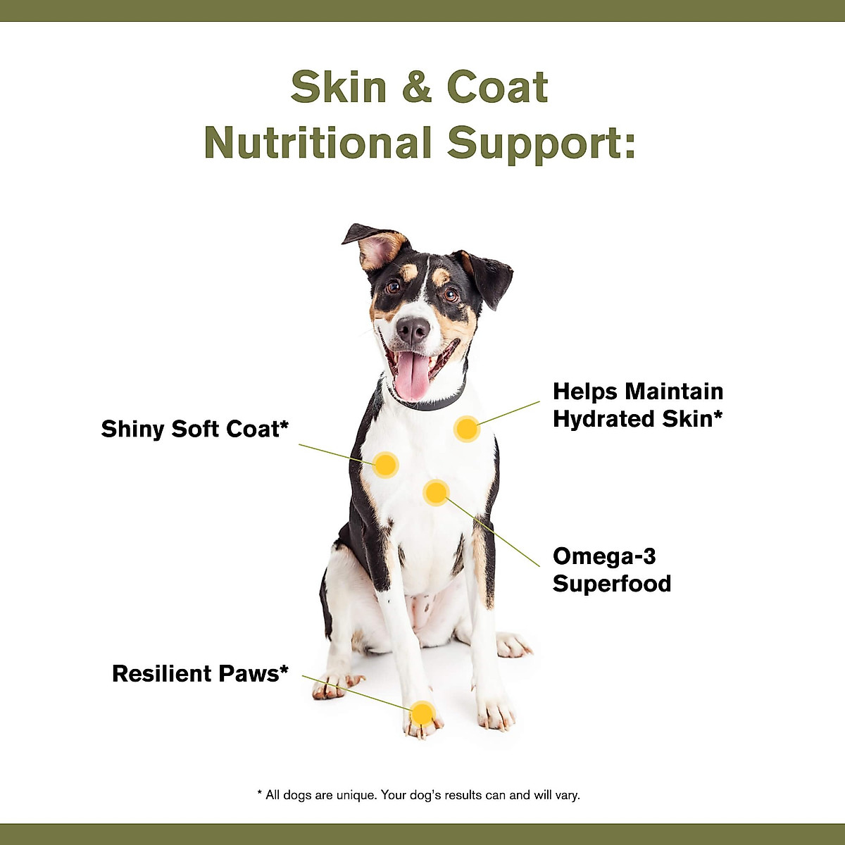 Badlands Ranch - Skin & Coat Canine Supplement w/Omega-3 Fatty Acids, Org. Ingredients, Antioxidant Topper, Nourish Coat &Paws, Joint, Support Shiny Coat & Healthy Skin by Katherine Heigl (30 Scoops)