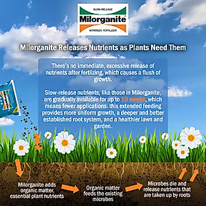 Milorganite All-Purpose Eco-Friendly Slow-Release Nitrogen 6-4-0 Fertilizer, for Lawns, Flowers, Gardens, 32 Pound Bag