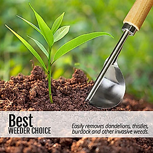 Betus Manual Hand Weeder - Bend-Proof Leverage Base for Super Easy Weed Removal & Deeper Digging - Sturdy Chrome Plated Steel - Compact Garden Weed Puller Tool for Yard Lawn and Farm