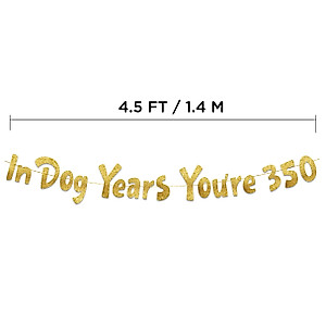In Dog Years You're 350 Hilarious Adult Birthday Gold Glitter Banner - Funny Birthday Party Supplies, Ideas, Gifts and Decorations - 50th - 55th - 60th - 65th - 70th - 75th