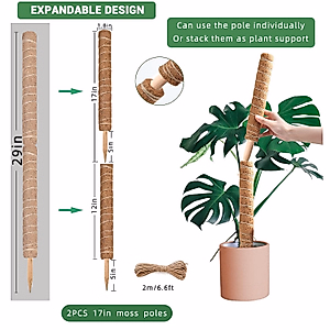 Moss Pole -2 Pack 17 Inch Monstera Plant Support for Climbing Plants Accessories Indoor -Stackable Moss Poles Plant Support Stakes -Coir Plant Pole Sticks for Potted Plants -Pothos - Plant Trellis