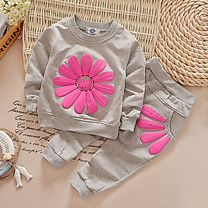 Avidqueen Toddler Baby Girls Sunflower Clothes Set Long Sleeve Top and Pants 2pcs Outfits Fall Clothes (Grey,Age 3T)