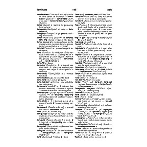 Webster's American English Dictionary, New Edition