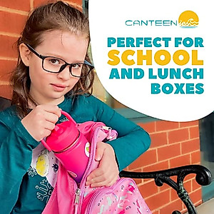 Canteenies Kids Water Bottle for School, 14 Oz, Straw Lid, Stickers, Scrunchie, Vacuum Insulated Stainless Steel Double Walled, BPA Free Food-Safe, Leak-Proof Tumbler Travel Cup For Girls