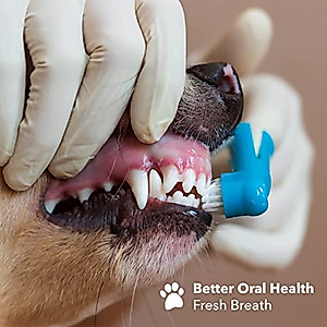 BOSHEL 8 Pc Finger Toothbrush for Dogs - Dog Toothbrush Kit Includes 6 Silicone Bristle + 2 Nylon Bristle Dog Finger Toothbrushes - Cat Toothbrush for Small & Large Pet - Dog Tooth Brush Oral Care Kit