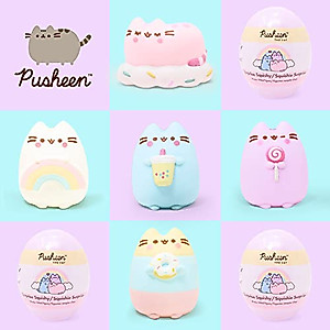 Hamee Pusheen The Cat [Surprise Blind Capsule] [Series 2] Cute Water Filled Squishy Toy [Birthday Gift Bags, Party Favors, Gift Basket Filler, Stress Relief Toys] - Surprise (Random - 1 PC.)