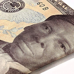 mighty wallet Tubman $20