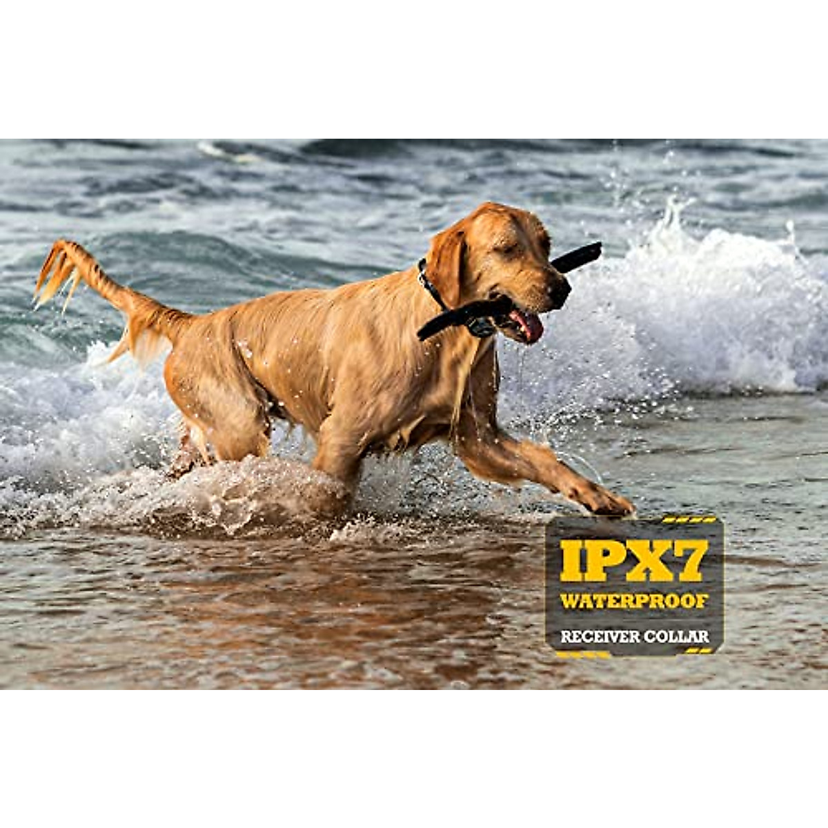 PATPET Shock Collar for Medium Large Dog(15-150lbs) - 3/4 Mile Range E Collar, Dog Training Collar with Remote