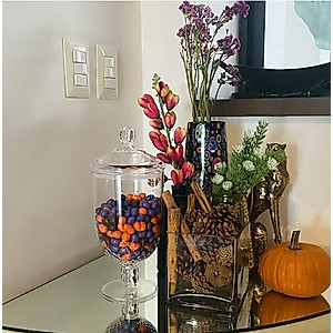 Moflekja Apothecary Jar with Airtight Lid in Premium Acrylic Plastic, Decorative Weddings Candy Buffet, Elegant Storage Jar, 50-Ounce