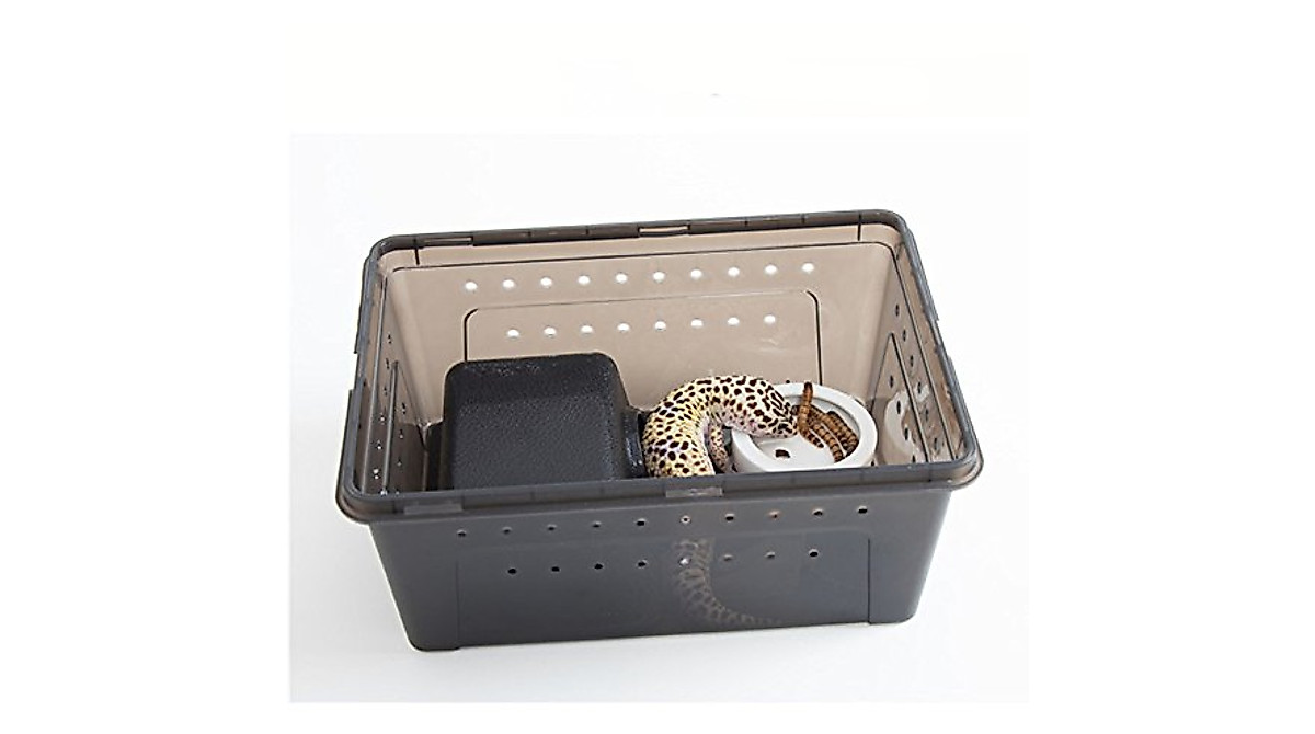 Reptile Hide Box Small Animal Hideaway for Snakes & Lizards