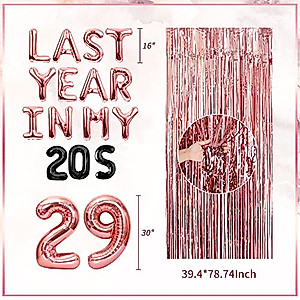 LaVenty Last Year In My 20s Birthday Decoration Last Year In My 20s Banner 29 Birthday Decoration Last Year In My 20s Birthday Sash 29 Birthday Balloons