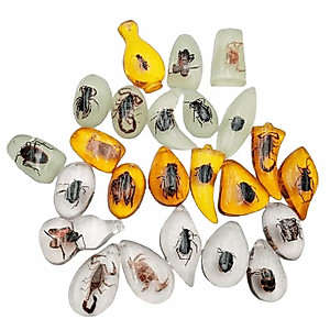 Multiple Psc Insect Amber Fossils, Luminous Amber Fossil Pendants, Educational and Scientific Amber Collections (12Pcs)