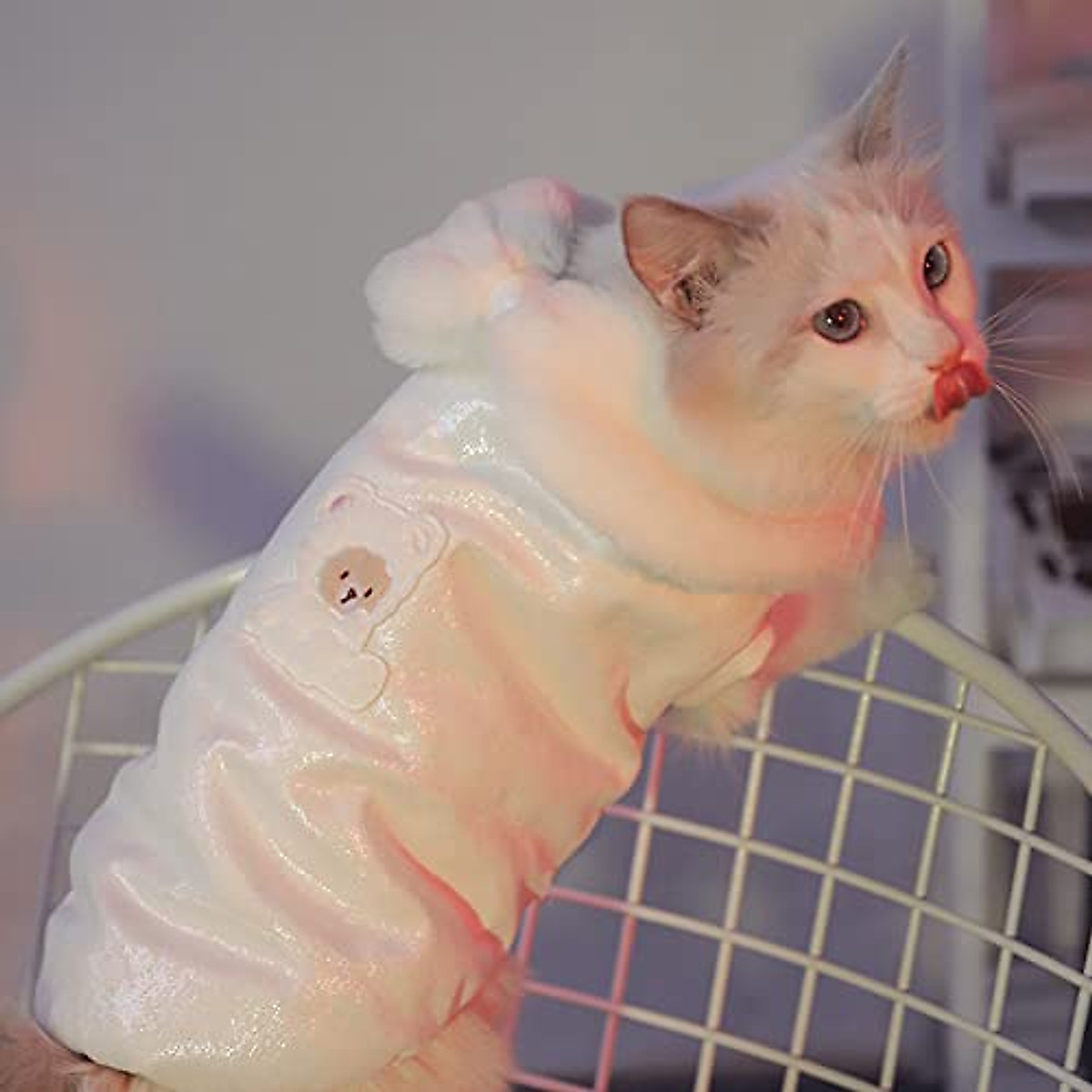 Cat Winter Coat, Pet Cold Weather Clothes with Fur Collar for Small Puppy Dog Clothes Cat Puppy Kitten Clothes M