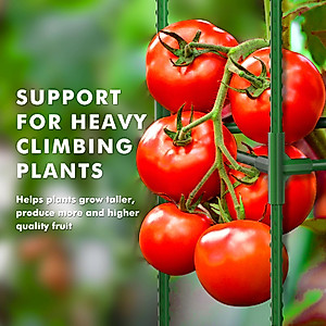 ROADPLUM 3 Pack 48" Tomato Cages for Garden, Plastic Coated Steel Pipe Heavy Duty Adjustable Tomato Stakes Trellis Plant Cages for Vegetable, Fruit, Flower, Rose Vine Climbing Plants