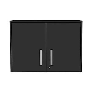 Wall Storage Cabinet Lions, Three Interior Shelves, Double Door-Black
