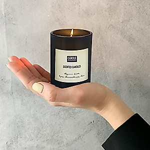 2 Pack Soy Candles for Home Scented Aromatherapy Candle Christmas Scented Candles Set for Men &Women Natural Long Lasting Jar Candles for Holiday Birthday Mother's Thanksgiving Day Valentine'sDay