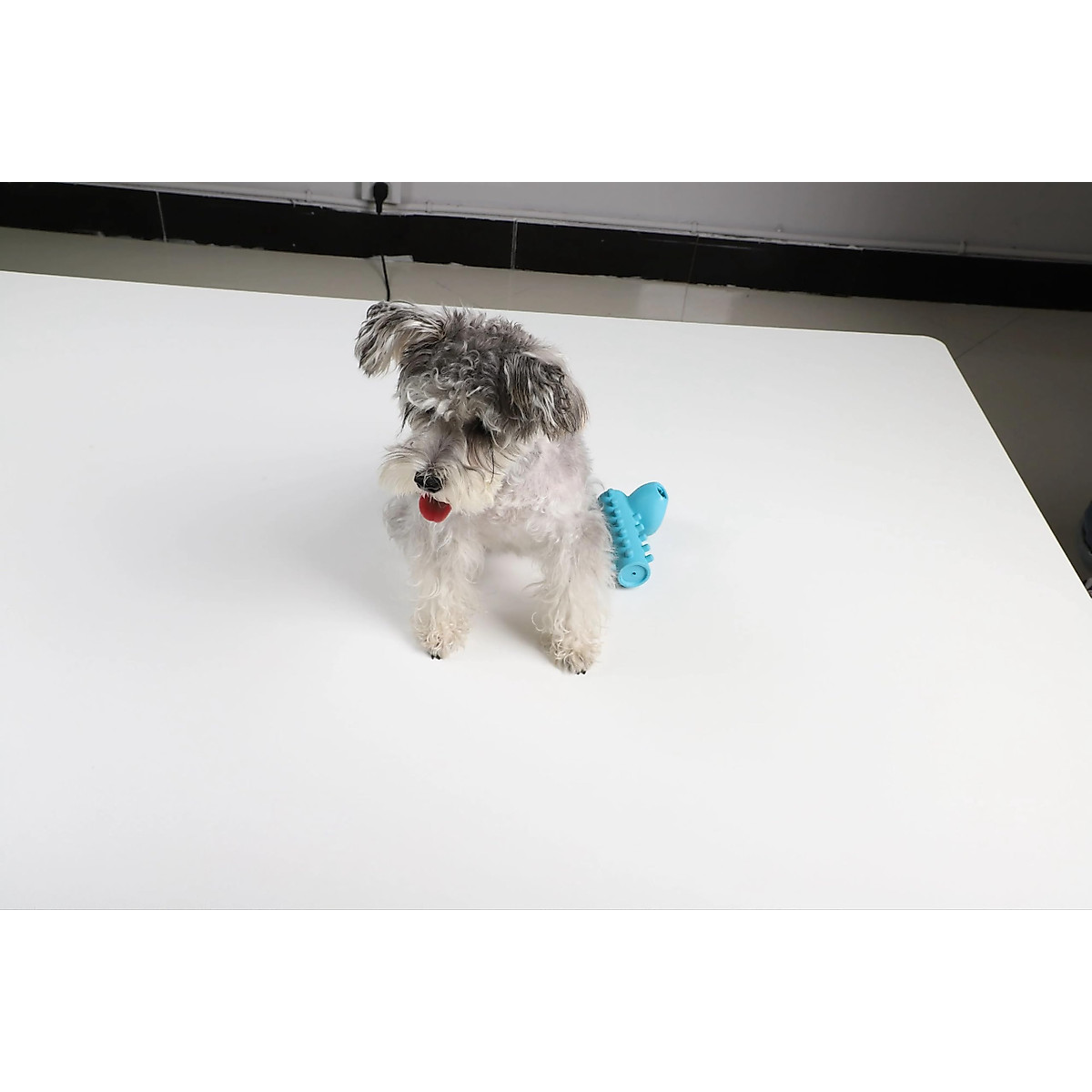 iPetz Dog ChewPod (Large/ExtraLarge)