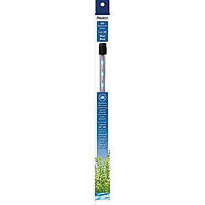 Aqueon Lamp Max LED Bl 20