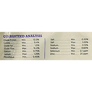 Manna Pro Mini-Pig Treats | Berries & Cream Flavor | 4 lb