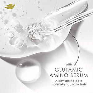 Dove Shampoo Intensive Repair for Damaged Hair with Bio-Protein Care Technology and Amino Serum 12 Fl Oz