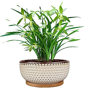 EPFamily 8 Inch Succulent Planter + 5.7 Inch + 4.7 Inch Flower Pot for Indoor Plants