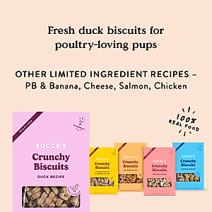 Bocce's Bakery Oven Baked Duck Recipe Treats for Dogs, Wheat-Free Dog Treats, Made with Real Ingredients, Baked in The USA, All-Natural Duck, Cranberry & Beet Biscuits, 14 oz