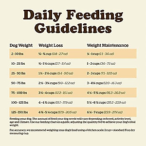 Now Fresh Dry Dog Food, Turkey, Salmon and Duck Recipe, 22 lbs - Grain Free Dog Food, Made with Real Meat and Fish for Small, Medium, and Large Breed Adults