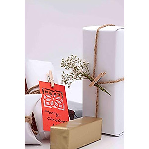 Mini Clothespins | 250 Pieces Mini Clothespins with 65 Feet of Jute Twine | 1-Inch Natural Wooden Clips for Decorations and Gifts by Voatation