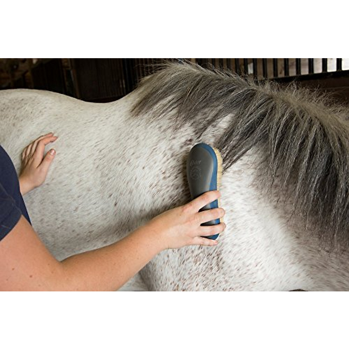 Oster Equine Care Series 7-Piece Horse Grooming Kit