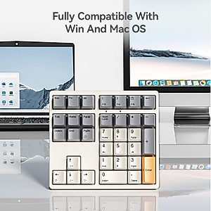 Mechanical Number Pad,34 Key Wired USB Numeric Keypad White Backlit Hot Swappable Numpad with PBT Keycaps for Laptop, MacBook,PC Desktop (Retro Beige,Brown Switch)