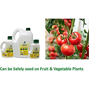 Deepthi Pure Neem Oil for Plants - Concentrated - Cold Pressed - Spray for Indoor Outdoor Garden - 100% Neem Oil - Natural Insecticide – Controls Mildew - 16.9 Fluid Oz (500 ml)