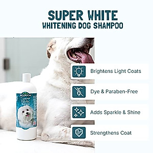 Bio-Groom Super White Pet Shampoo, 1-Gallon
