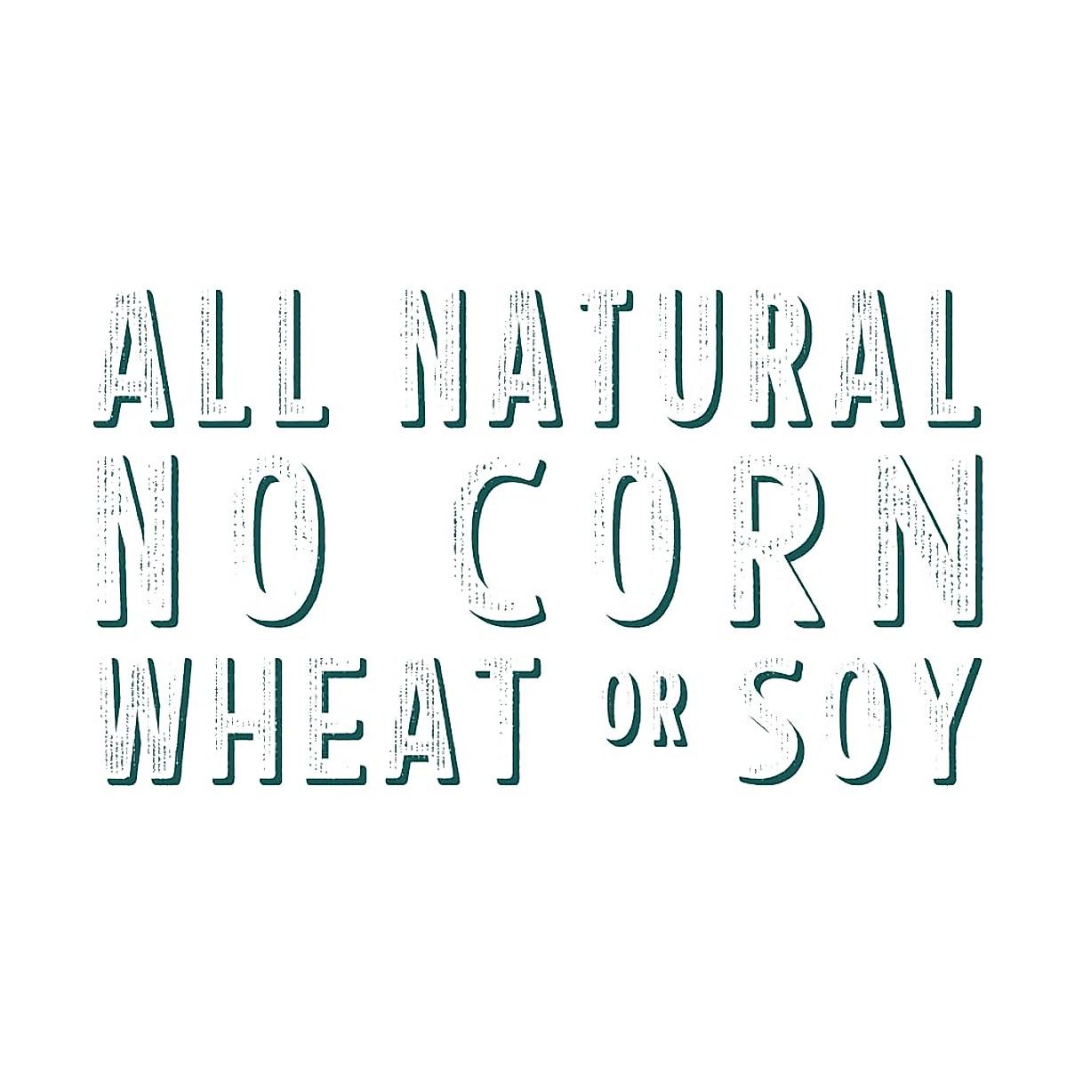 Gnawturals Hideless Chews Ribbed Bones | for Small Dogs | Rawhide Free, Pumpkin, Psyllium Husk and Chicory Root for Easy Digestion and Overall Gut Health (12 Bones, Pumpkin)