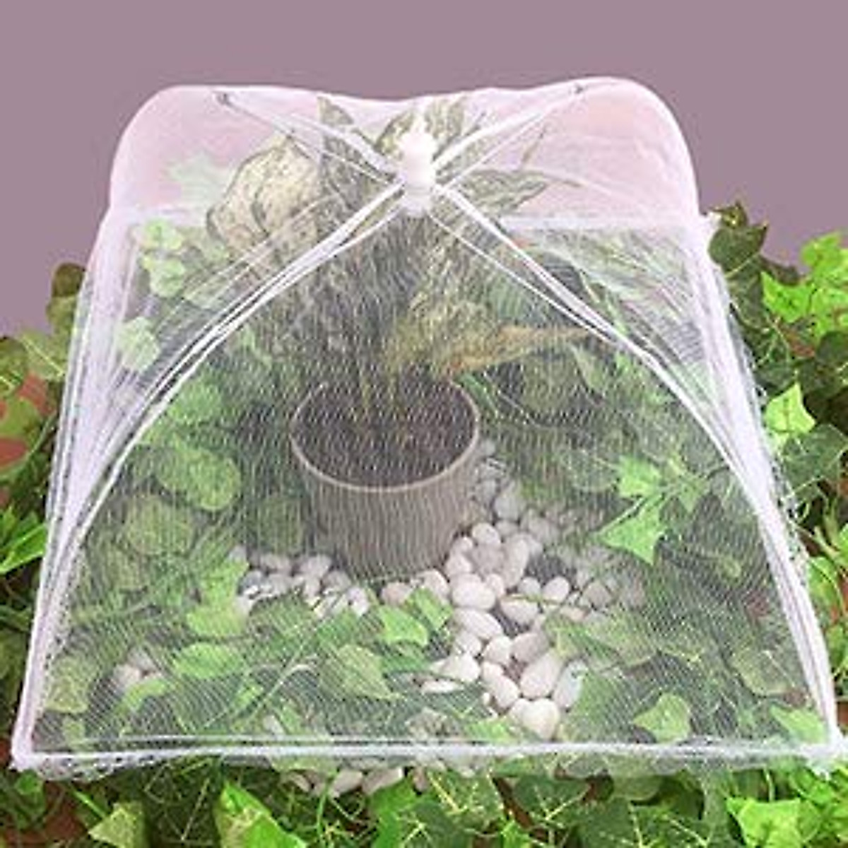 (6 Pack) Omont Pop-Up Food Cover Tents, 17 Inch X17 Inch Food Mesh Cover, Reusable and Collapsible Outdoor Picnic Food Cover Net,Suit for Parties Picnics,BBQs