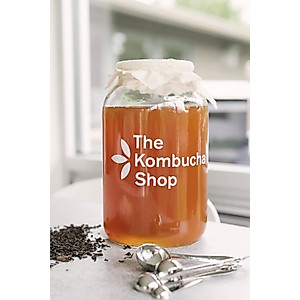 The Kombucha Shop - 1 Gallon Kombucha Brew Jar with Wide Mouth