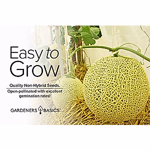 Cantaloupe Seeds for Planting - Hales Best Jumbo Heirloom, Non-GMO Vegetable Variety- 1 Gram Approx 45 Seeds Great for Summer Melon Gardens by Gardeners Basics