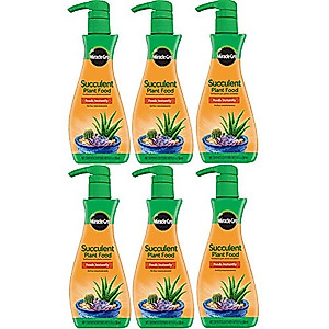 Miracle-Gro Foaming Succulent Plant Food, 8 oz (6 Pack)