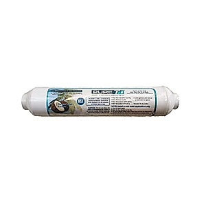 IPW Industries Inc. (IL-10W-C-38) 10" x 2" Inline Granulated Activated Carbon Filter w/ 3/8" NPT Connections