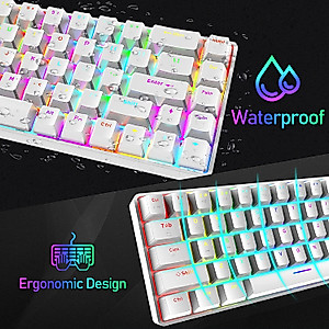 Compact 60% Mechanical Gaming Keyboard and Mouse Combo with Ergonomic Anti-ghosting 68 Key Rainbow RGB Backlight 6400DPI Honeycomb Mice Type-C Wired for PC Mac Gamer Office Typist(White/Blue Switch)