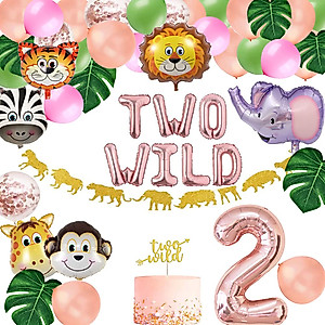 Two Wild Birthday Party Decorations, Jungle Themed Secend Girl Birthday Party Supplies Set Cute Animals Head Balloons and Two Wild Banner Caketoppers for Girls 2nd Jungle Birthday Decor