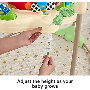 Fisher-Price Baby Bouncer Rainforest Jumperoo Activity Center with Music Lights Sounds and Developmental Toys