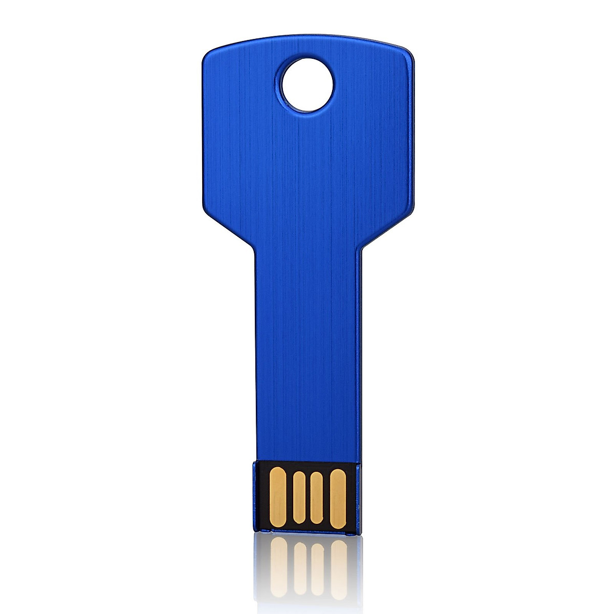 RAOYI 10 Pack 2GB USB Flash Drive USB 2.0 Metal Key Shape Memory Stick Thumb Drive Pen Drive-Blue