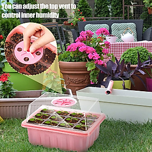 20 Set Seed Starter Tray Seed Starter Kit with Humidity Dome 240 Cells Total Plant Germination Trays with Drain Hole Reusable Propagation Tray Base Mini Greenhouse for Seedling Starting Growing