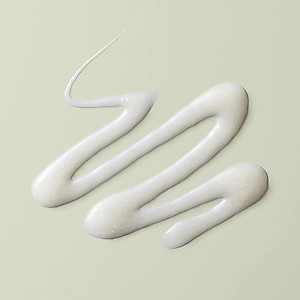 DevaCurl Wash Day Wonder Time-Saving Slip Detangler, Green Oasis, 12 fl. oz.