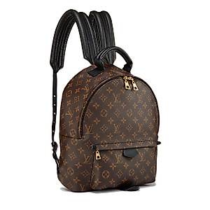 Louis Vuitton, Pre-Loved Monogram Canvas Palm Springs Backpack MM, Brown