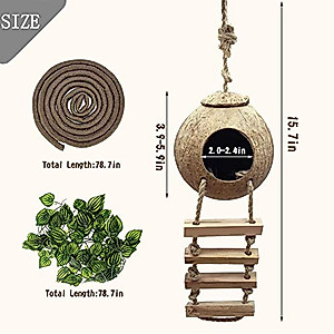 PINVNBY Crested Gecko Coco Hut with Ladder Natural Lizard Coconut Shell Hideout Home Mini Condo for Reptiles Durable Cave Habitat with Hanging Loop Coconut Texture Provide Food for Pets