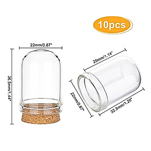 PH PandaHall 10pcs Cloche Bell Jar, Glass Display Dome with Cork Base 8ml Mini Glass Bottles Dome Decorative Jars Display Case for Flower Storage Home Christmas Party Favor Decoration, 0.86x1.4inch